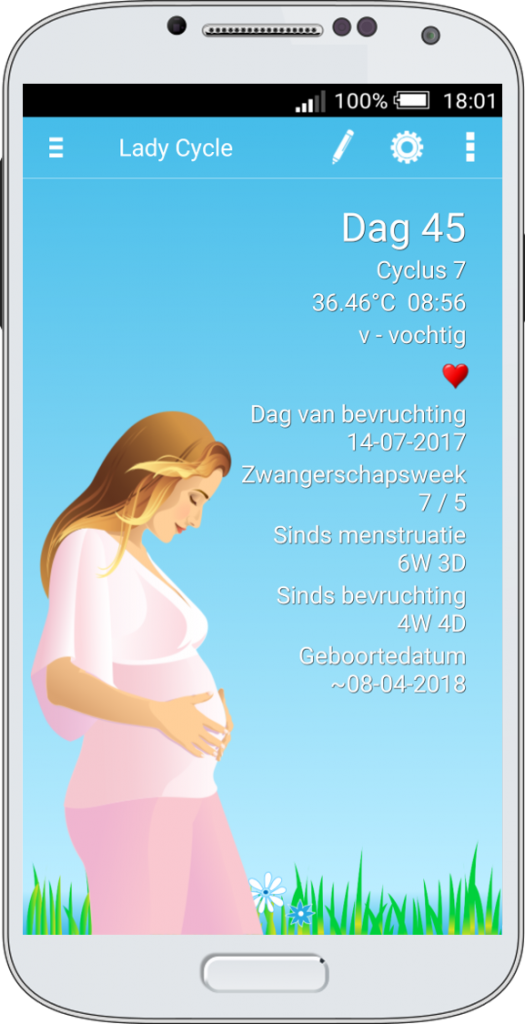 Lady Cycle